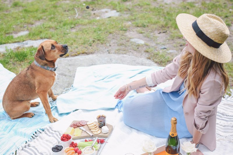 5 Tips For Creating the Perfect Picnic