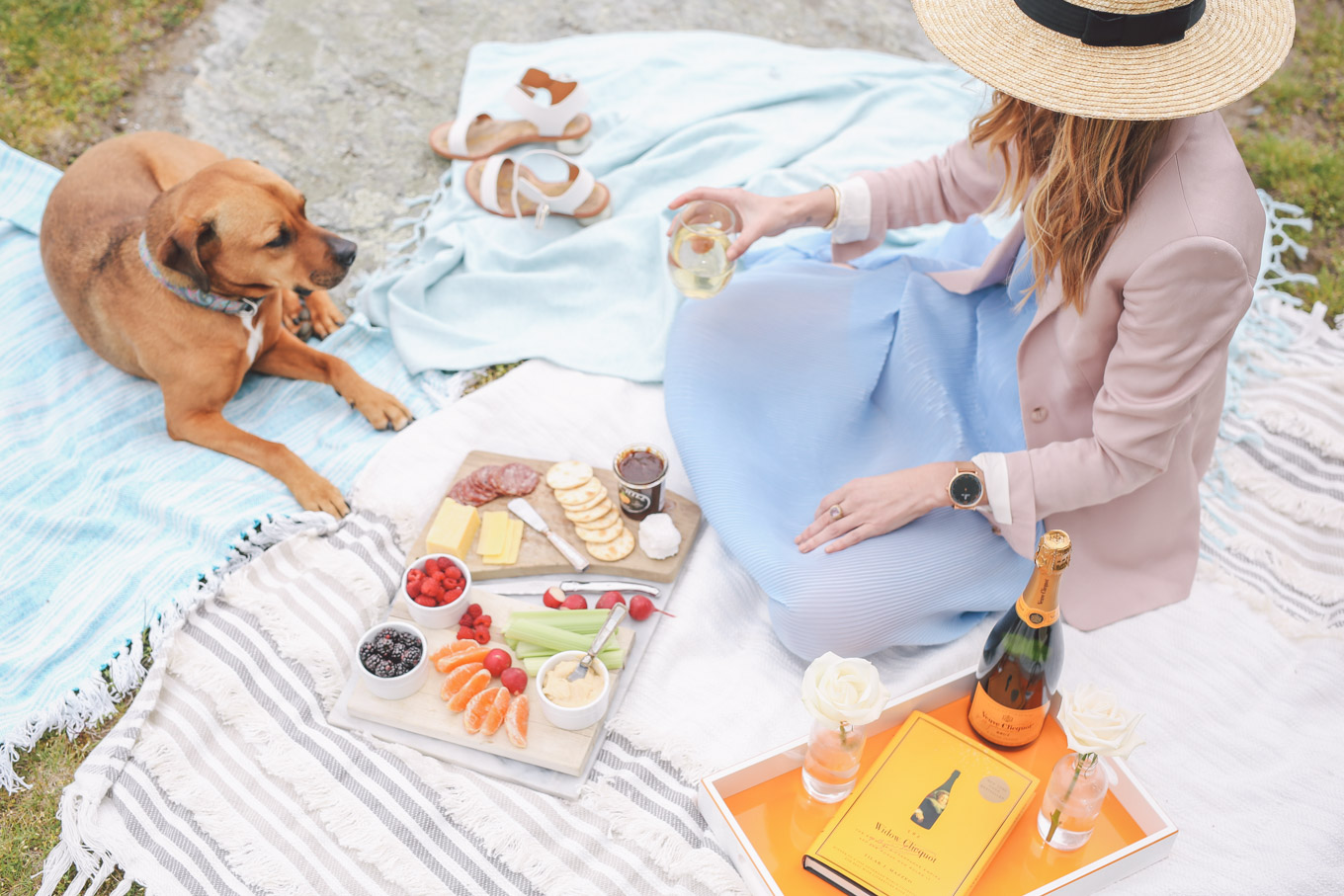 5 Tips For Creating the Perfect Picnic