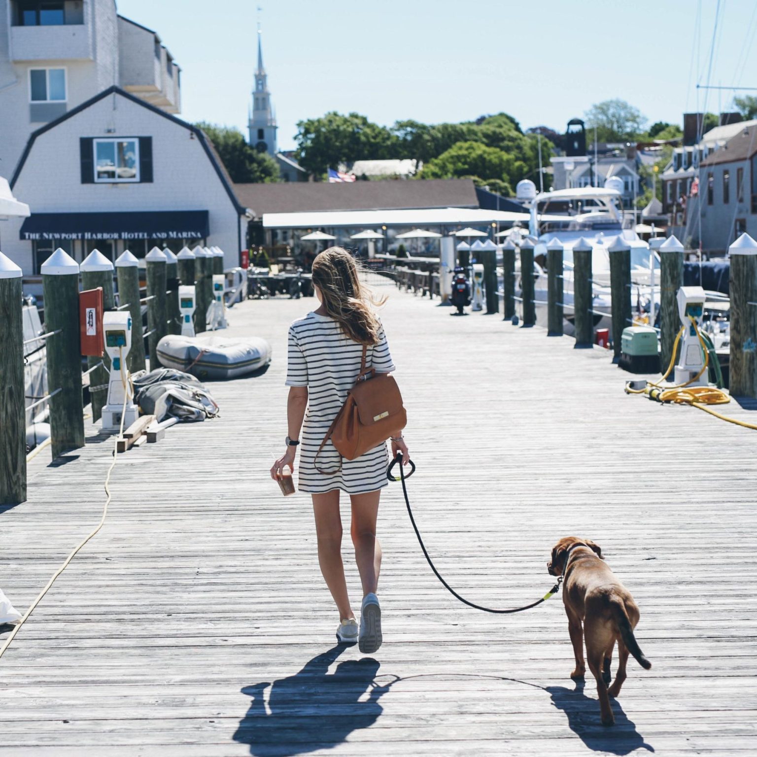 The Dog Friendly Guide to Newport, RI | The New England Guide