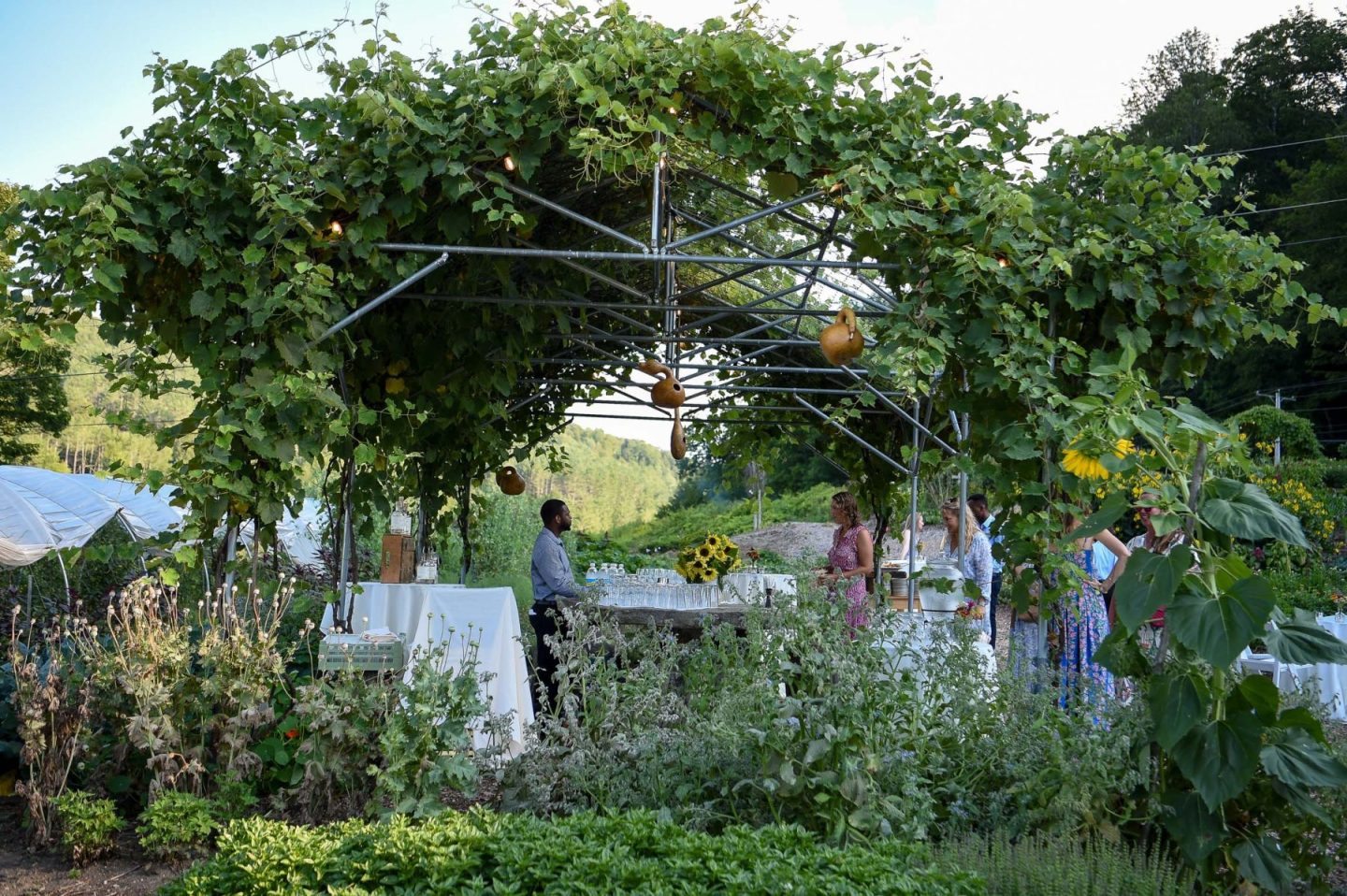 My Kelly Way Garden Party in Woodstock | Jess Ann Kirby