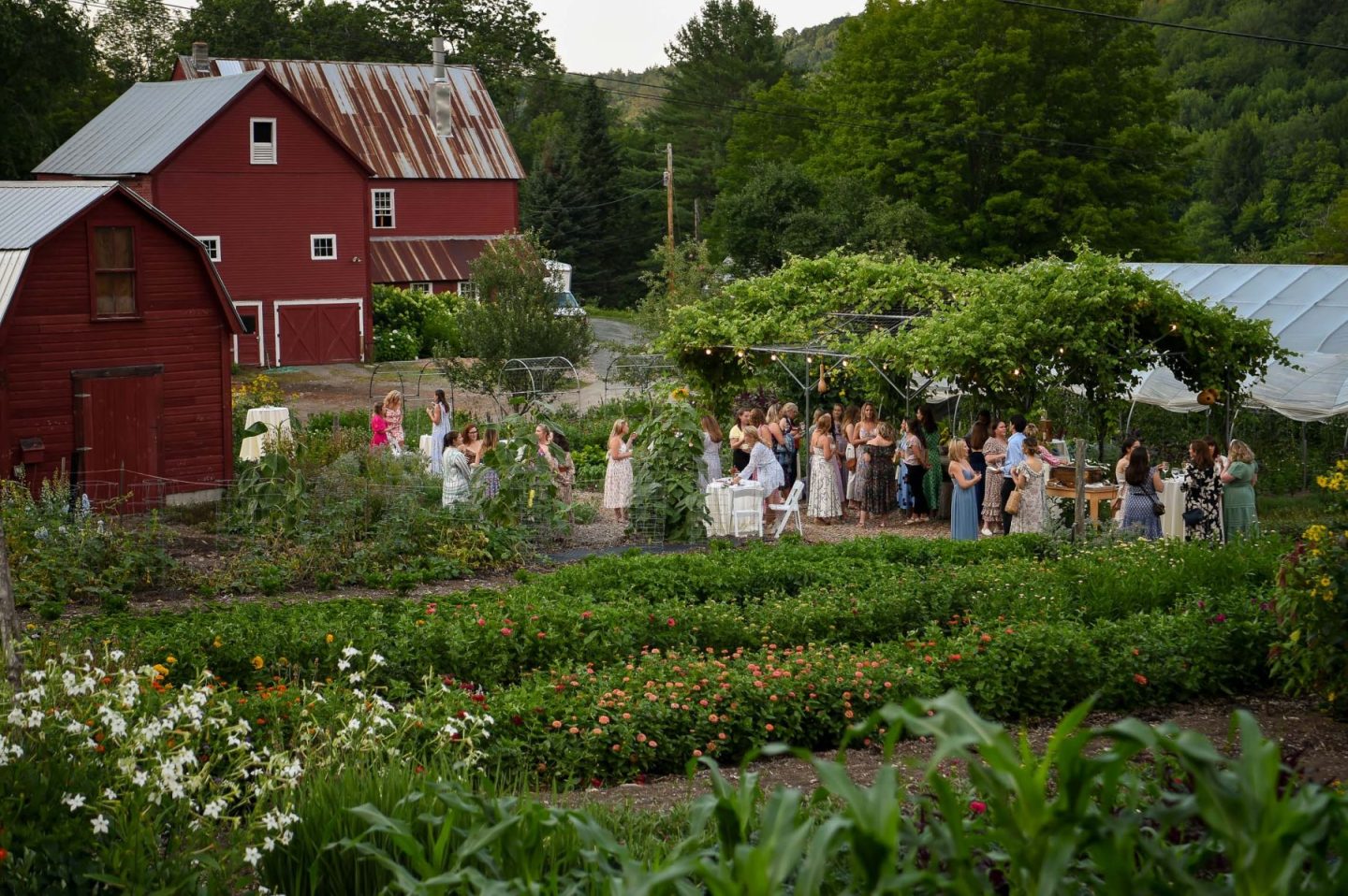 My Kelly Way Garden Party in Woodstock | Jess Ann Kirby