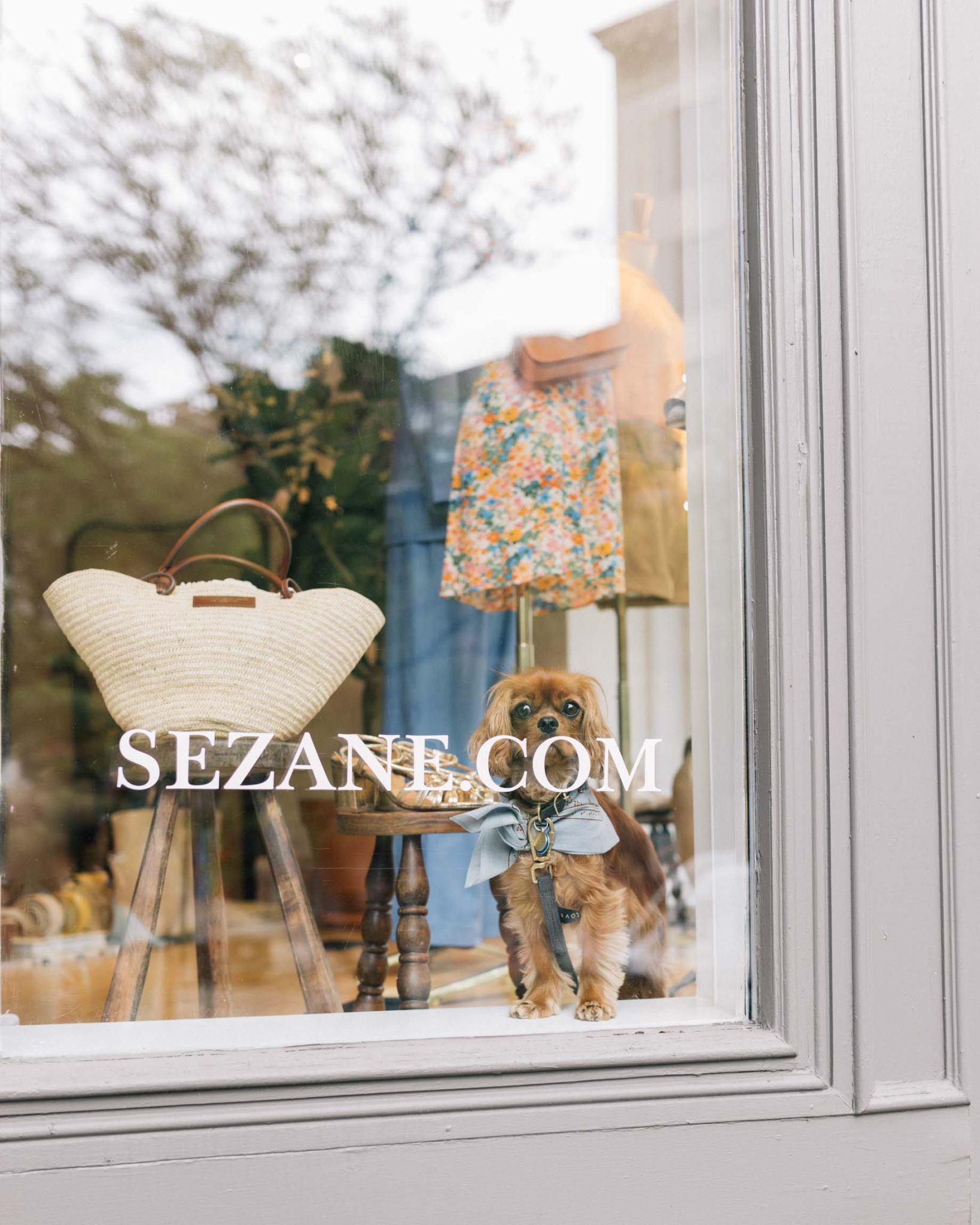 Sézane Boston Pop-Up Shop! | Jess Ann Kirby - Lifestyle Blog