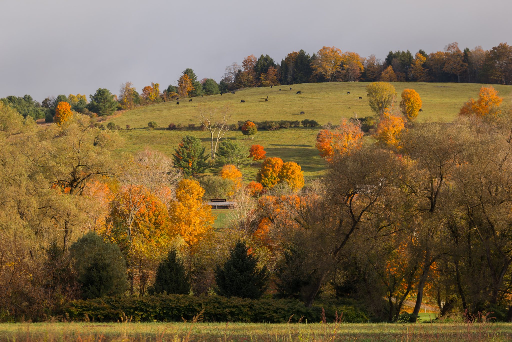 Woodstock, VT Fall Itinerary | The New England Guide